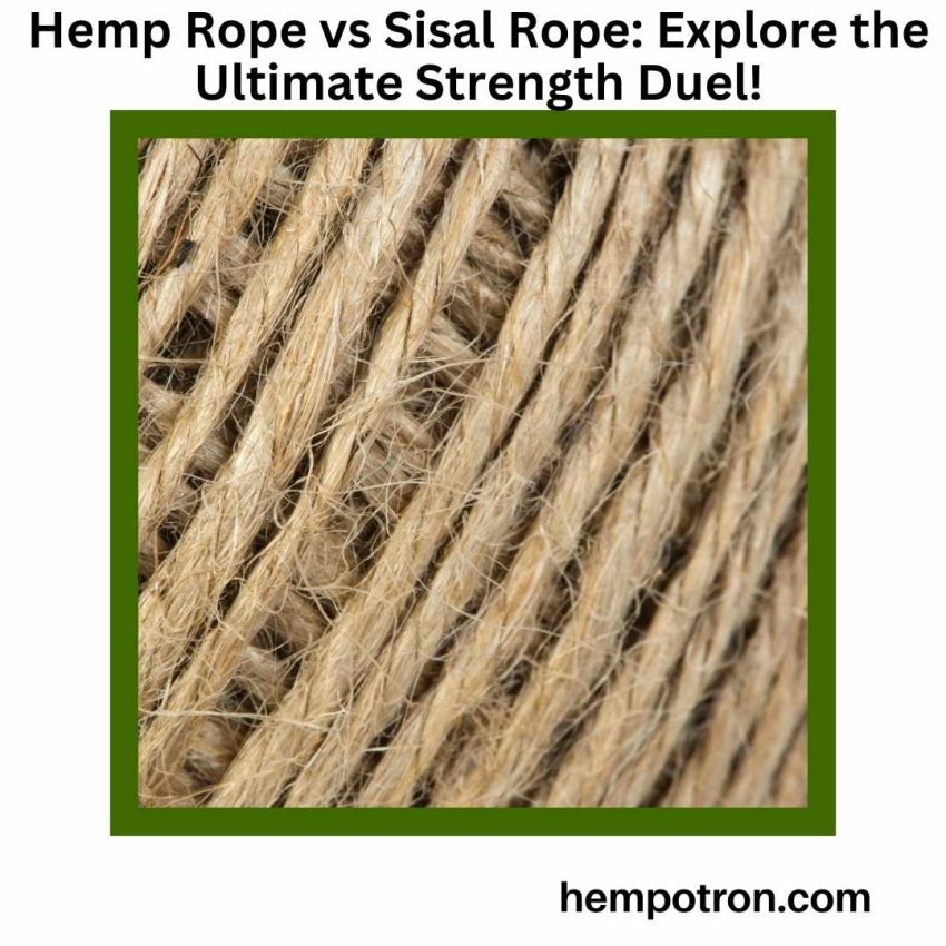 Hemp Rope vs Sisal Rope: Explore the Ultimate Strength Duel! - Hempotron