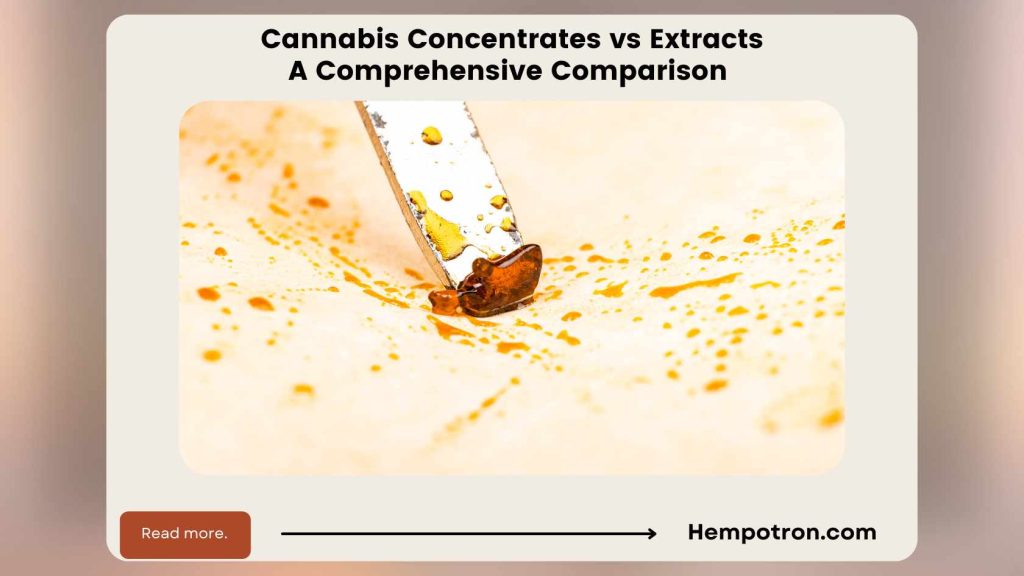 Cannabis Concentrates vs Extracts: A Comprehensive Comparison - Hempotron