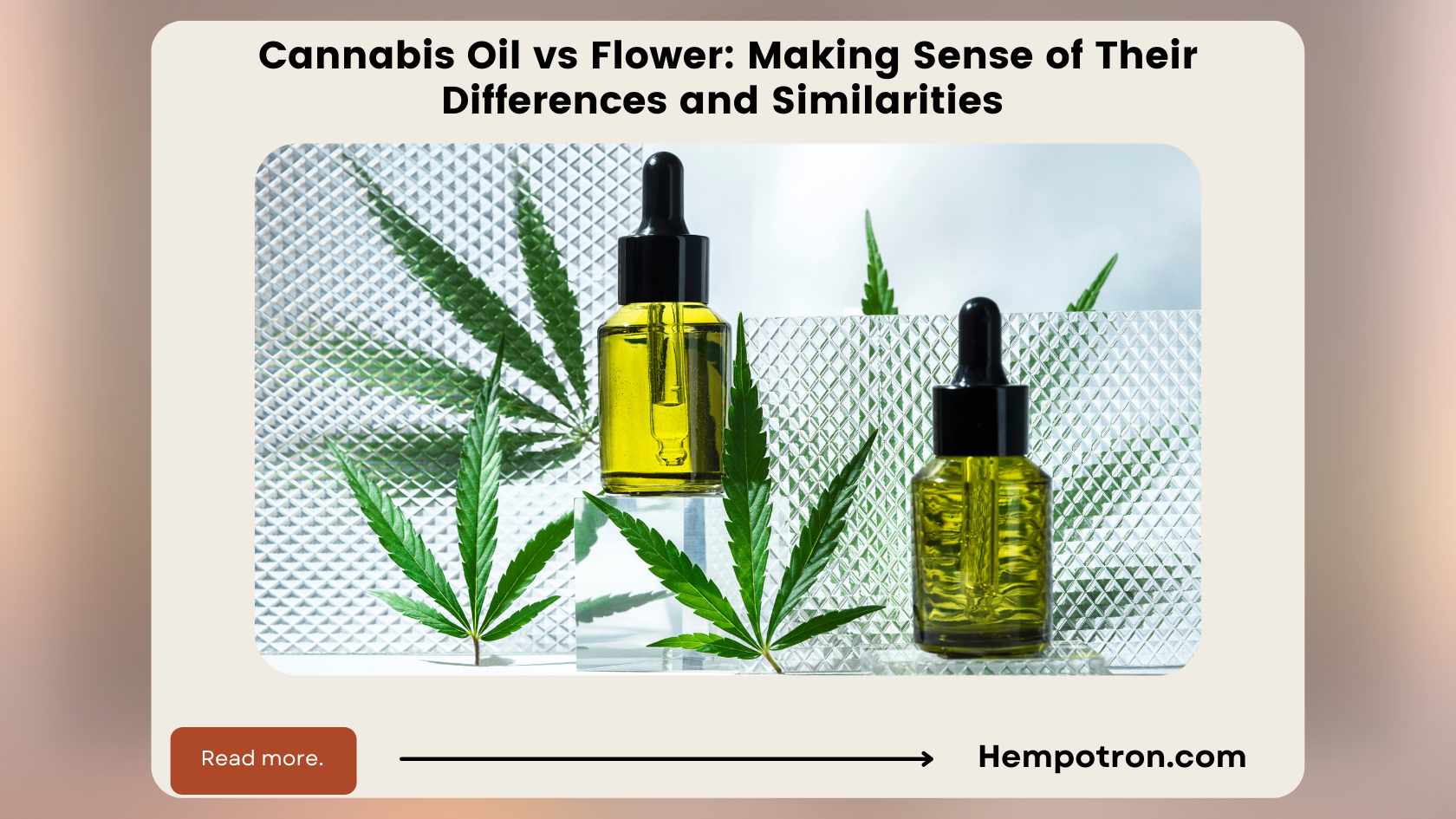 Cannabis Oil vs Flower: Making Sense of Their Differences and ...