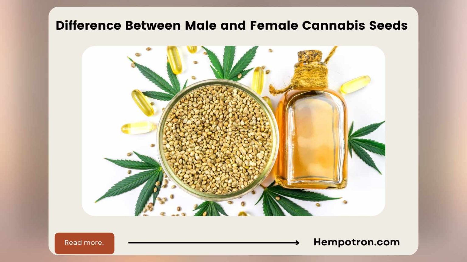 Difference Between Male and Female Cannabis Seeds - Hempotron